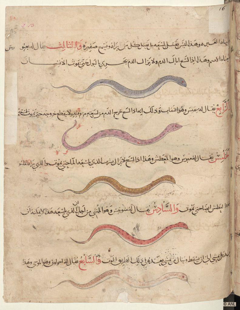 Kitab al-diryaq (Book of Antidotes) - Discover Islamic Art - Virtual Museum