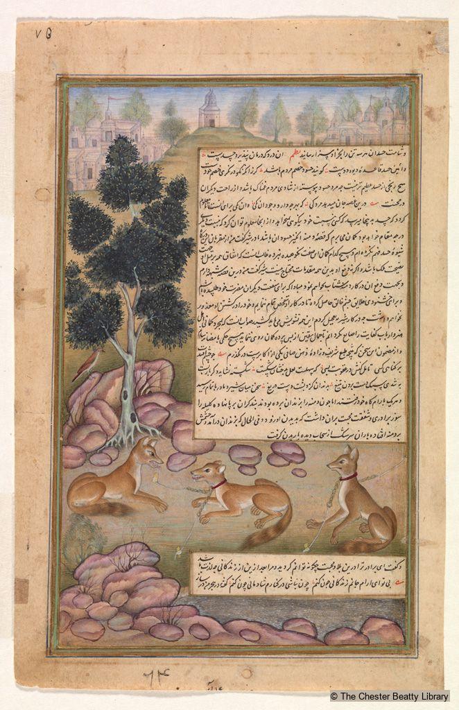 Iyar-i Danish (‘Touchstone of Wisdom’) - Discover Islamic Art - Virtual ...